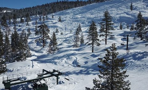 Lift Status - Dodge Ridge Mountain Resort